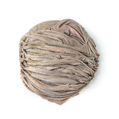 Vísceras y otros… – Carnes G